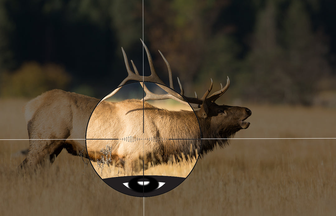 Simplifying Distance & Wind Maximizes Your Effective Range – Huskemaw ...