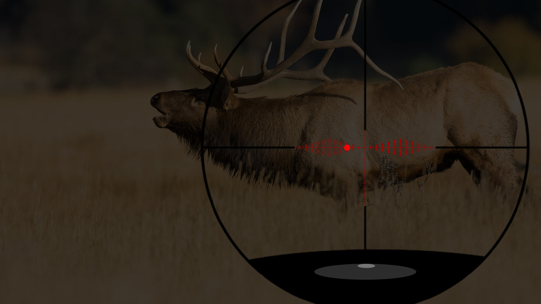 Tactical Riflescopes - Long Range Optics and Hunting Scope – Huskemaw ...